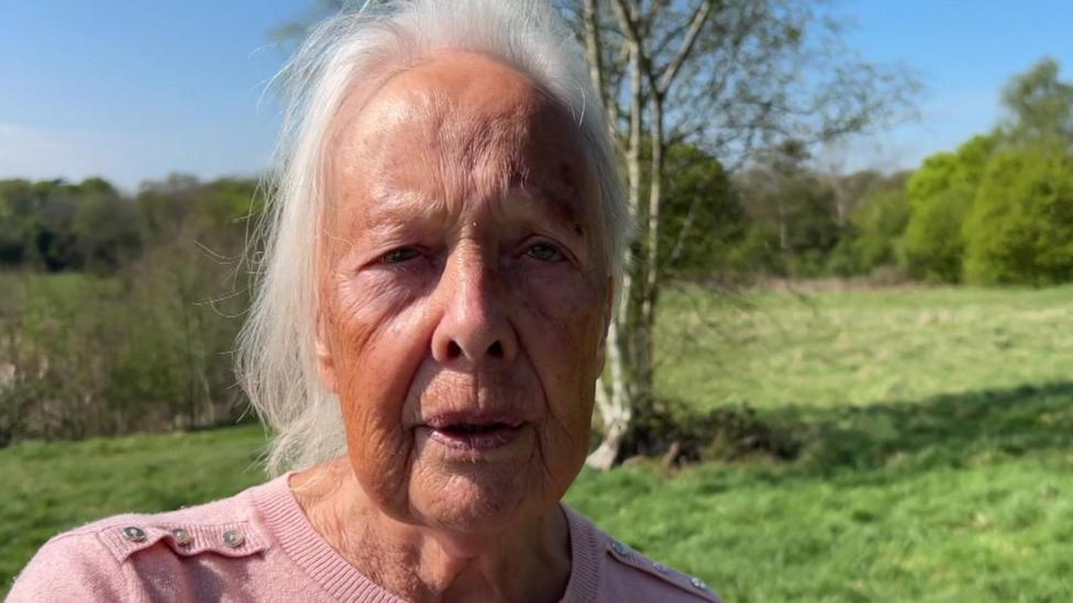 Enfield oak felling: 'A crime against 500-year-old being' - BBC News
