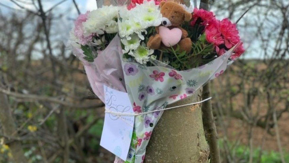 Welton Cliff crash: Two teenage boys killed - BBC News