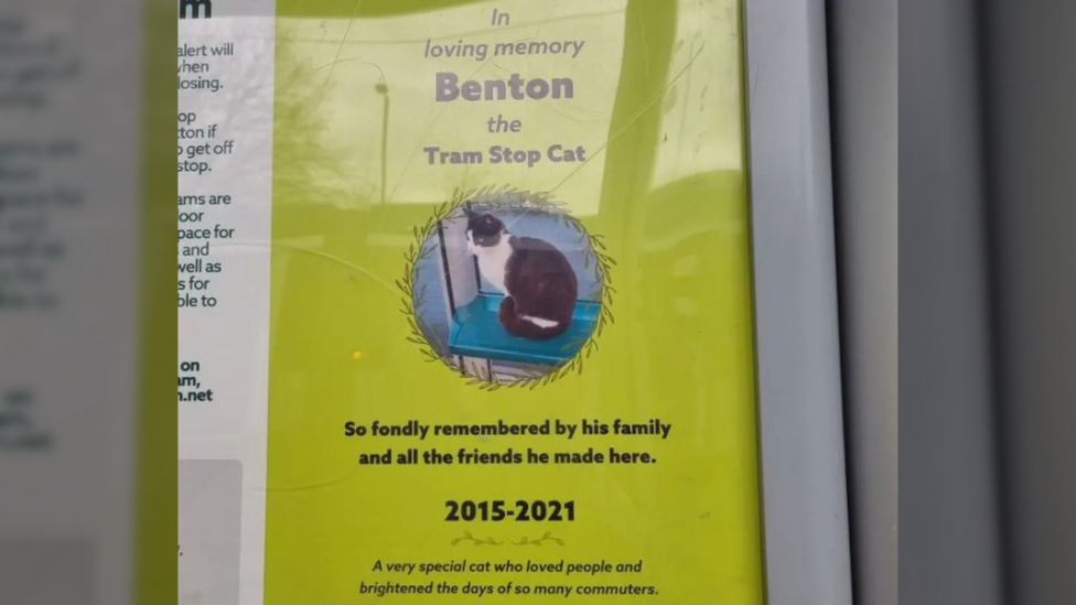 Beloved Nottinghamshire tram cat returns home for the final time - BBC News