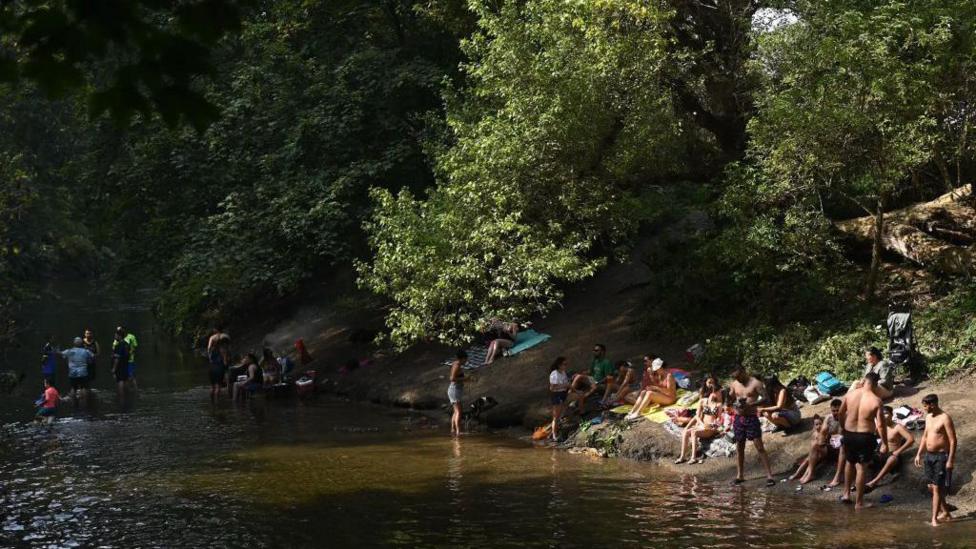 Hackney Marshes: Rewilding efforts sees 'overnight' animals rebound ...