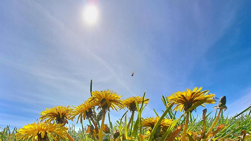 UK weather: 28C heatwave could bring hottest April day in seven years ...