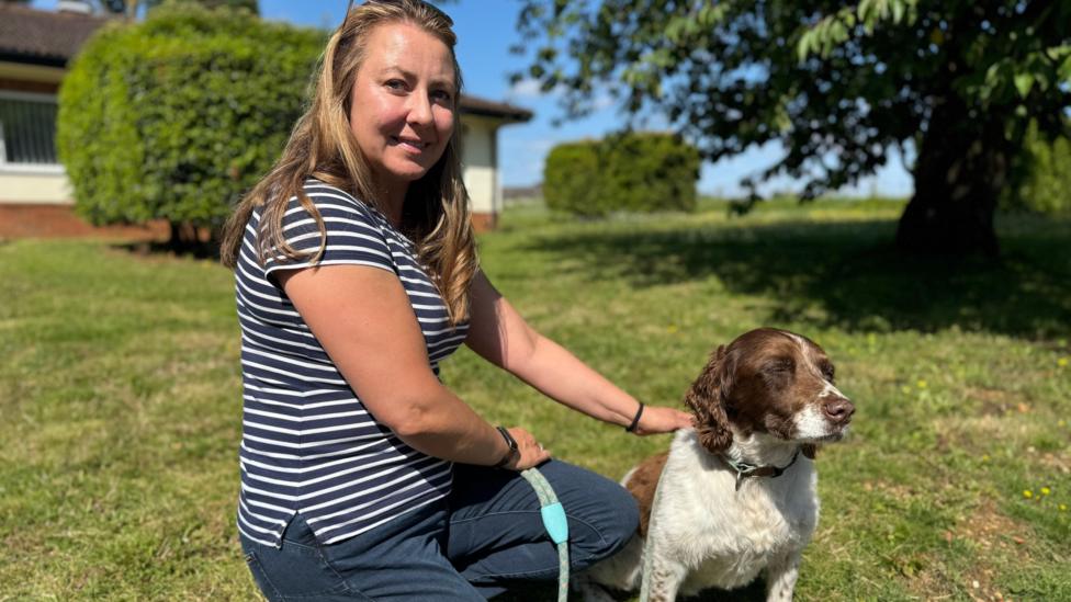 Royston vets say AI is transforming diagnosis and treatment - BBC News