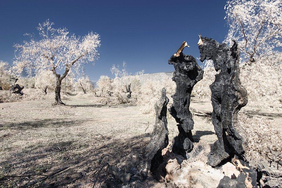 Your pictures: Sculpture - BBC News