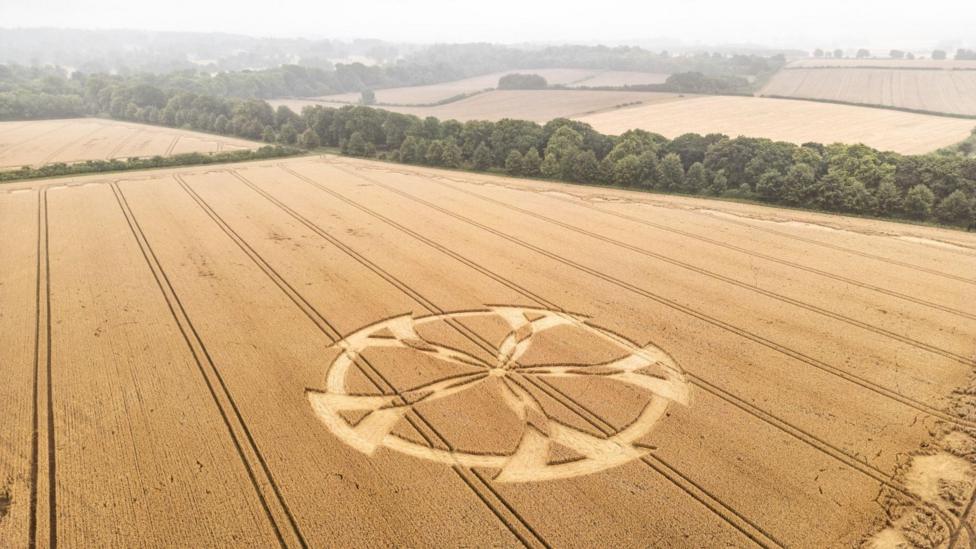 Crop circle appears near Badbury Rings - BBC News