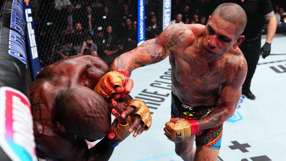 UFC 307: Alex Pereira stops Khalil Rountree in four rounds to stay ...