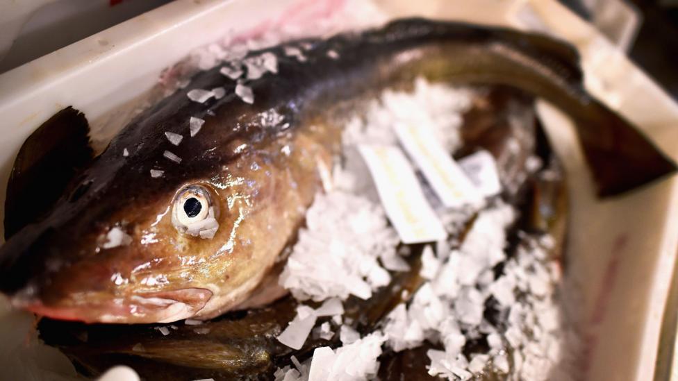 Stonehouse chippy apologises for prices as fish costs surge - BBC News