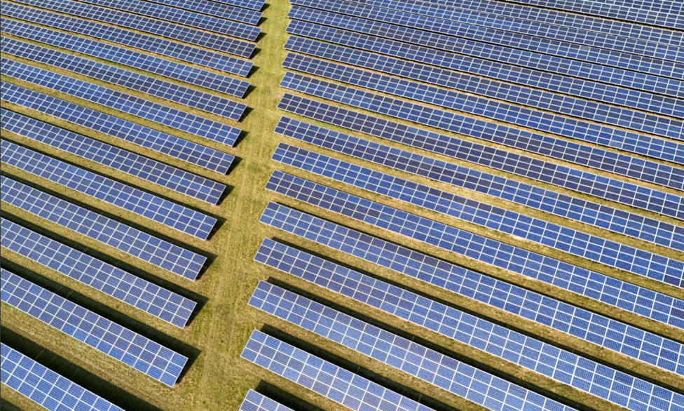 Largest solar farm in UK could be built in South Norfolk - BBC News