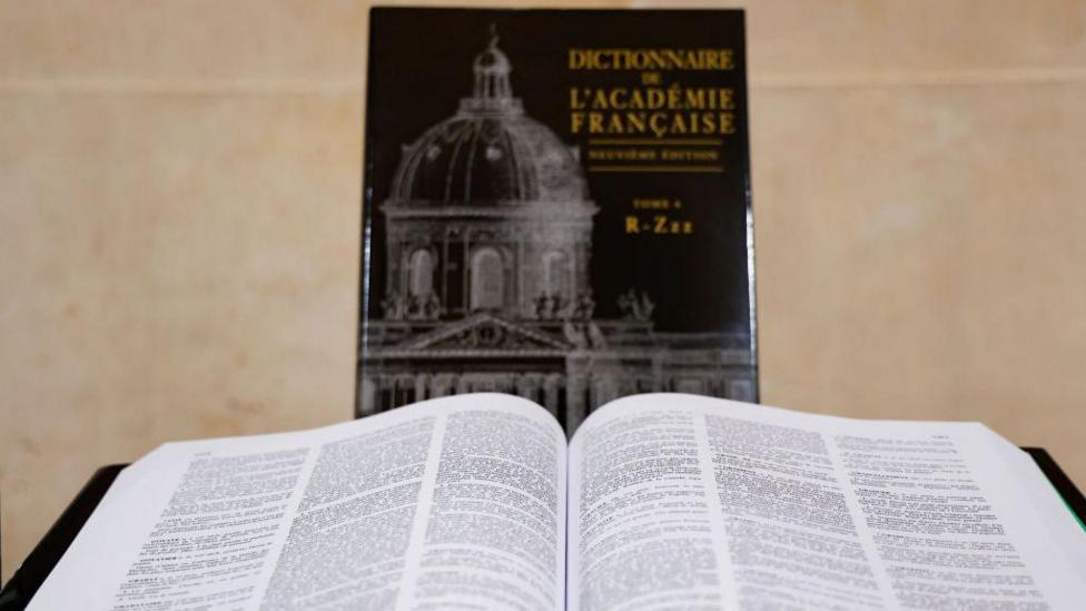 Dictionary of the French Academy presented to President Macron - BBC News