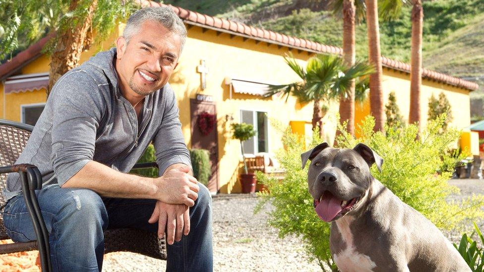 Cesar Millan: Dog Whisperer host 'investigated' over pig attack - BBC News