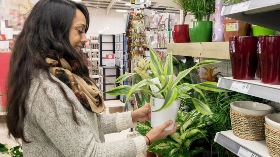 Homebase collapses with 2,000 jobs at risk - BBC News