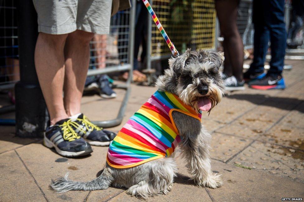 LGBT survey: None of my family knows I'm gay and it's not something I ...