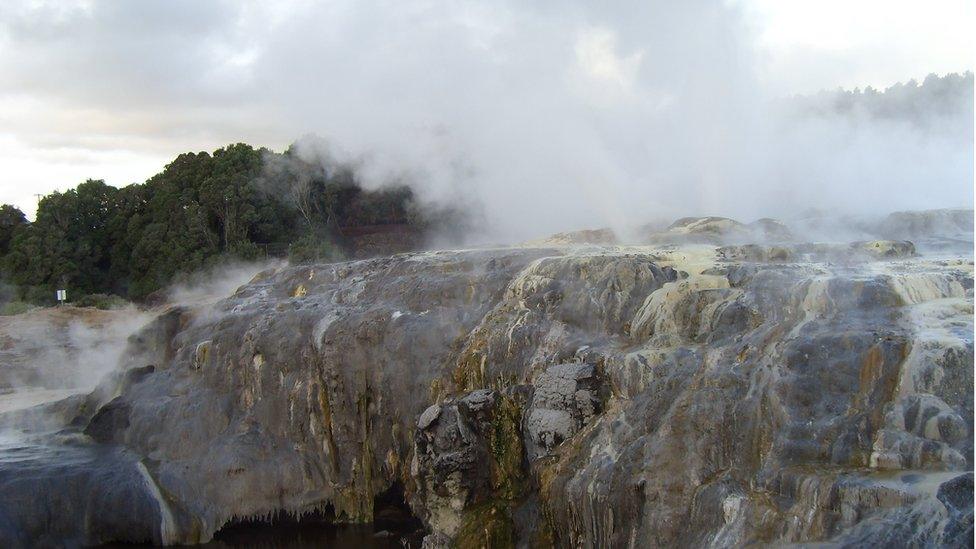 New Zealand geyser erupts, shooting water into the air - BBC News
