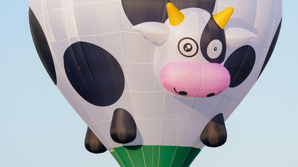 Isle of Wight Balloon Festival returns for second year - BBC Newsround