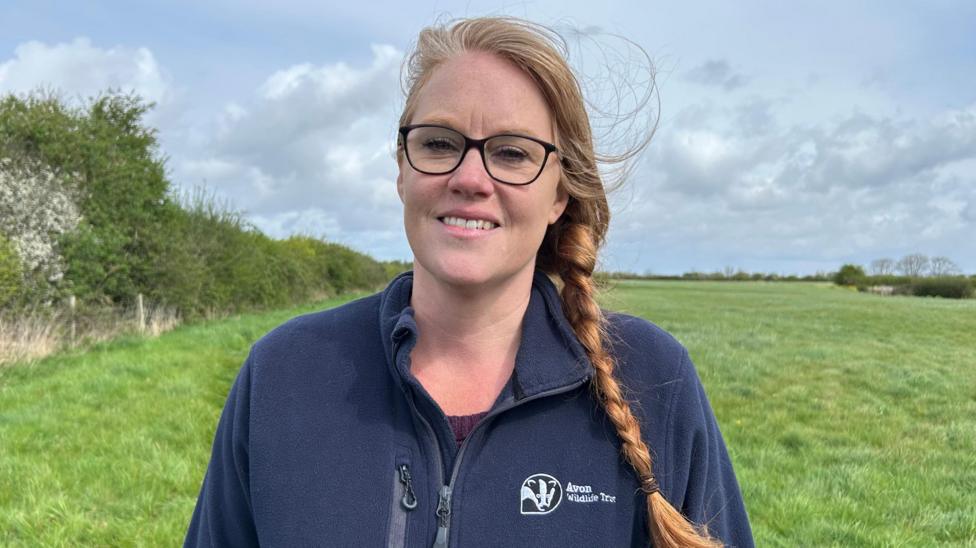 North Somerset nature reserve to be built on former dairy farm - BBC News
