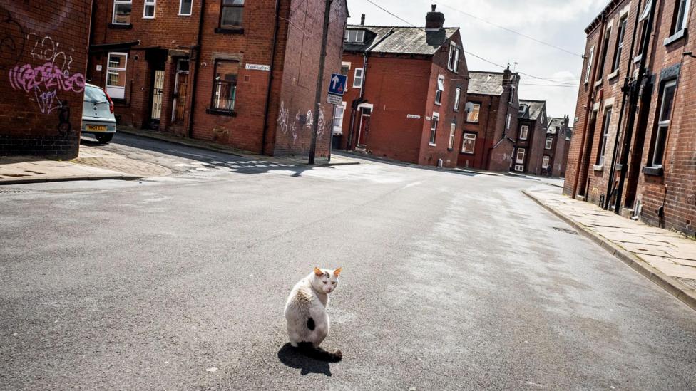 Back-to-back life on streets of Leeds caught on camera - BBC News