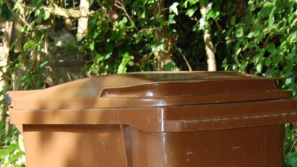 Stoke-on-Trent: £40 garden waste collection charge from 1 April - BBC News
