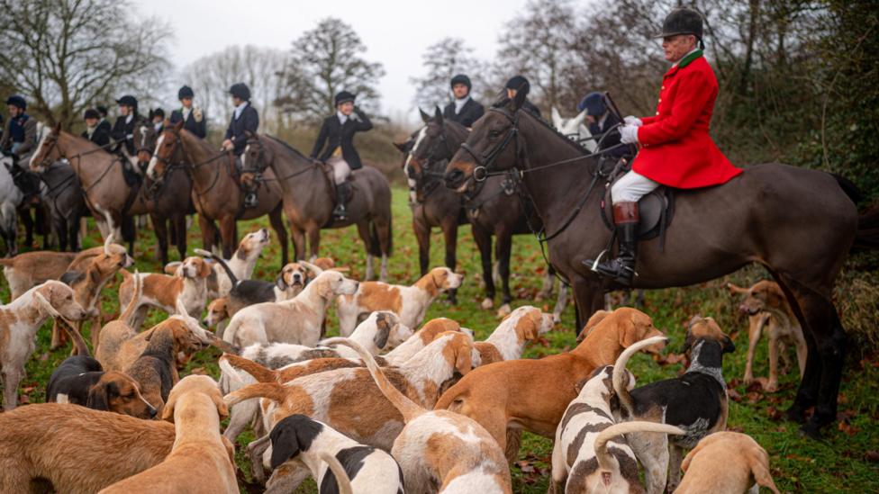 Cumbrian rift over plan to ban trail hunting - BBC News