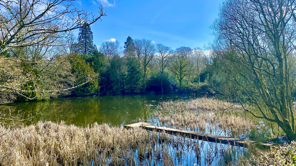 Your photos from across the West Midlands: Squirrels and sunshine - BBC ...