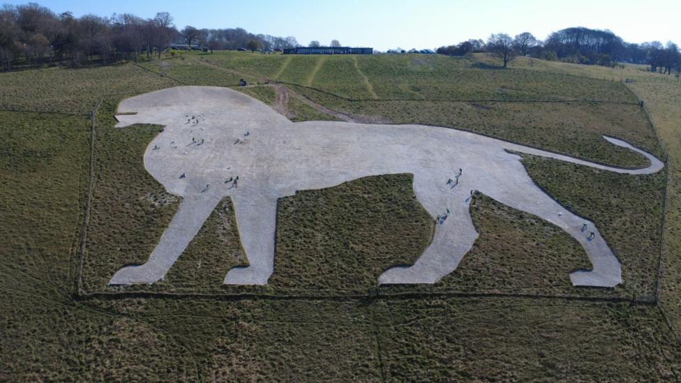 Whipsnade Zoo lion to be renovated with tonnes of chalk - BBC News