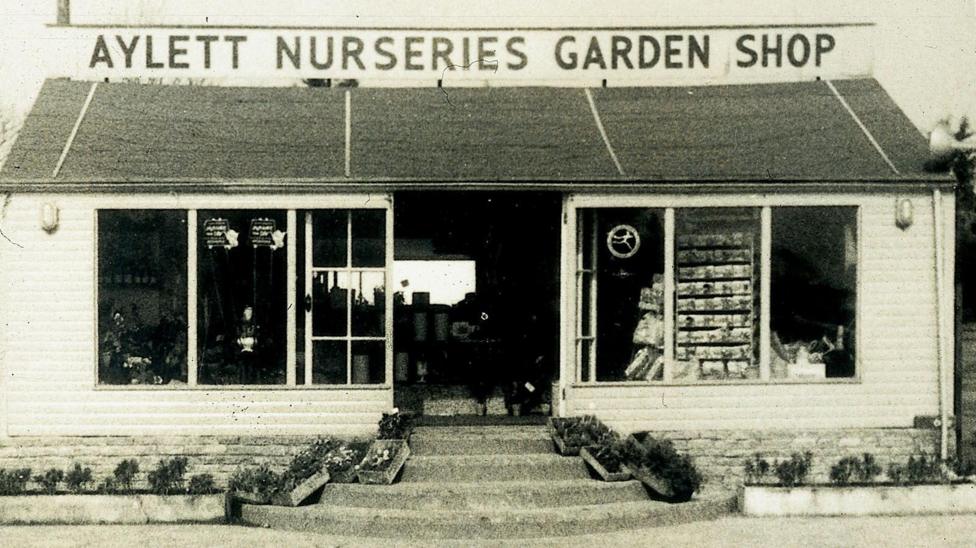 How a garden centre blossomed over 70 years - BBC News