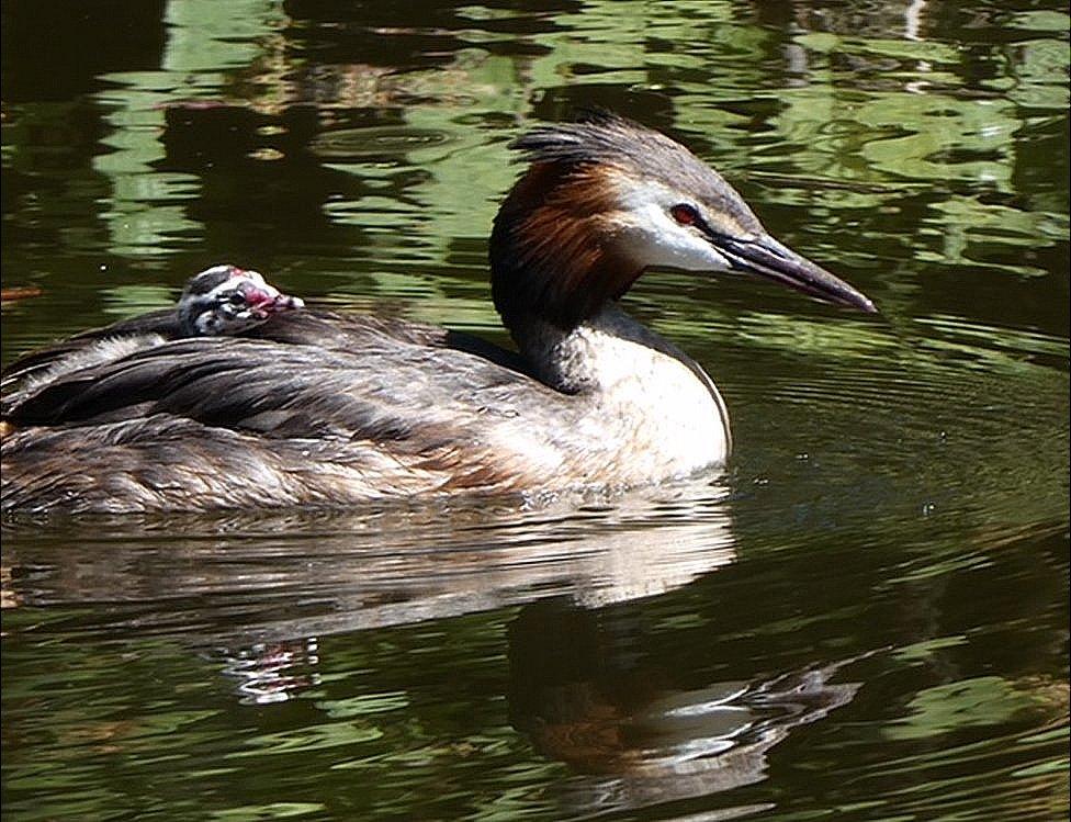 England's Big Picture: 2 - 8 July - BBC News