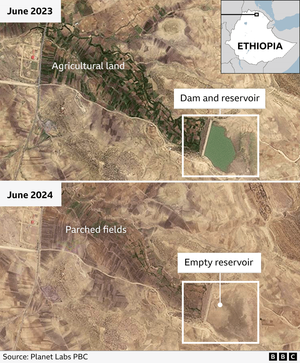 Two million at risk of starvation in Tigray, aid official warns - BBC News