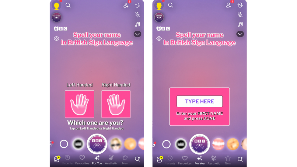 Try our British Sign Language filter - BBC