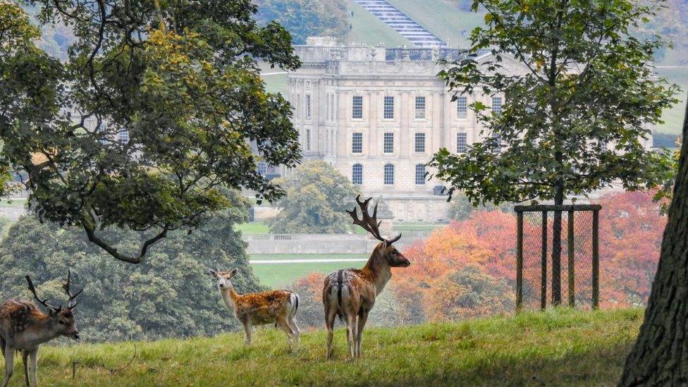 England's Big Picture: 19-25 October 2015 - BBC News