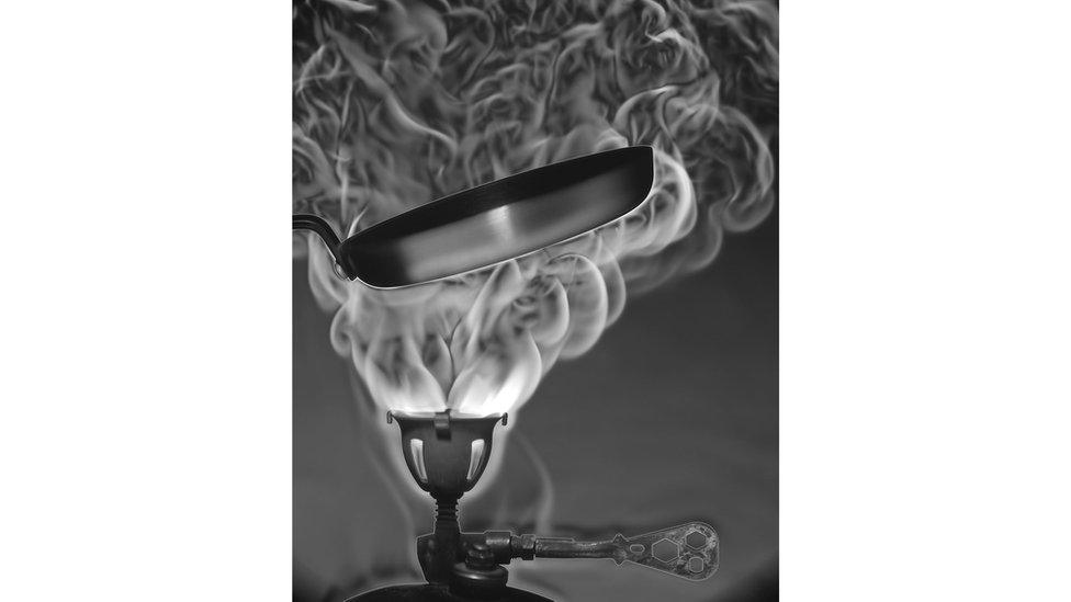 In pictures: Ladybirds, geckos and gorillas - BBC News