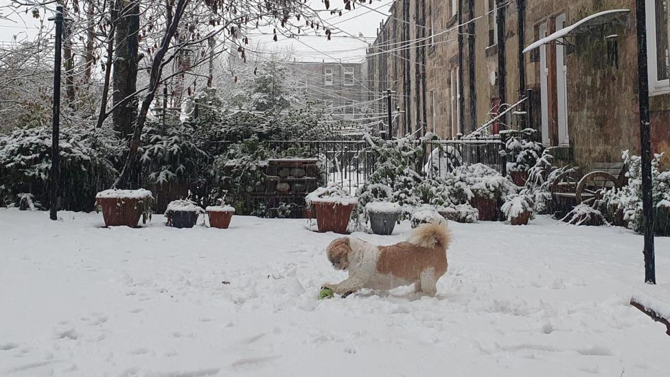 Your pictures: Storm Bert brings snow, wind and rain to UK - BBC News