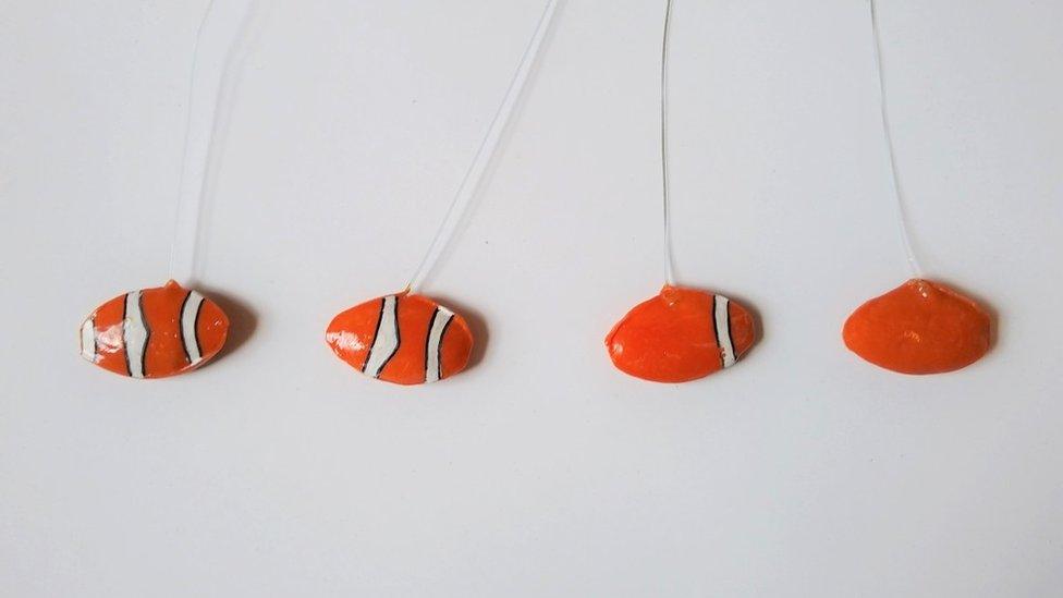 Clownfish 'count' stripes to recognise their friends and enemies - BBC ...