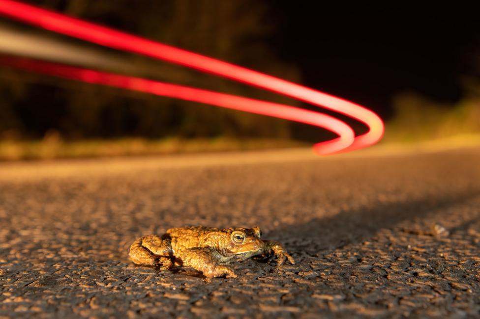 Gallery: Check out these incredible night snaps - BBC Newsround