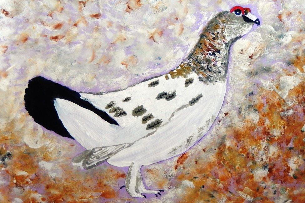 Cairngorms art contest winners revealed - BBC News