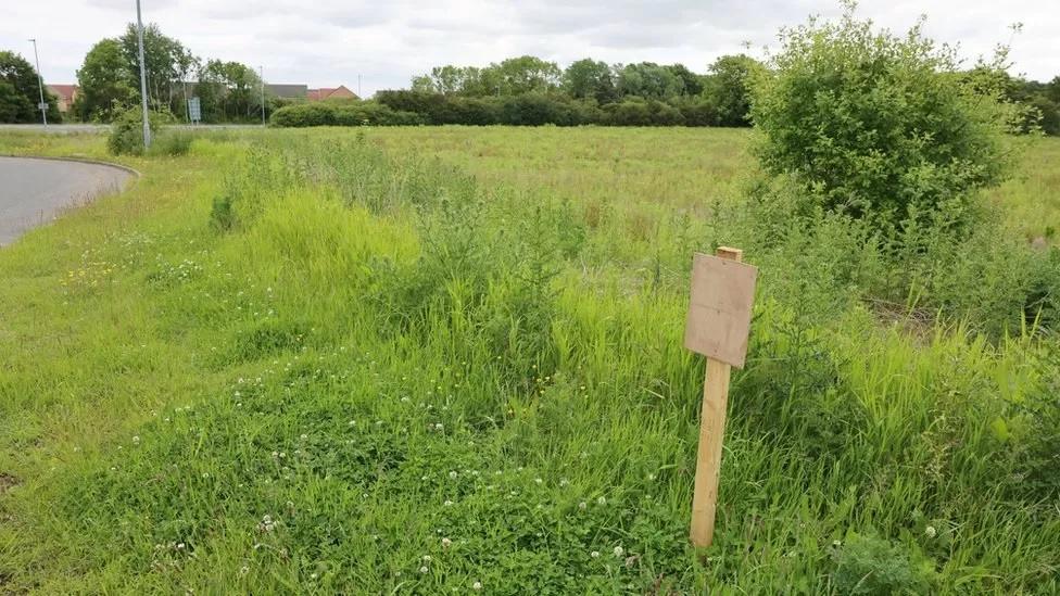 Middlesbrough Lidl retail site: Appeal refused over blocked plans - BBC ...