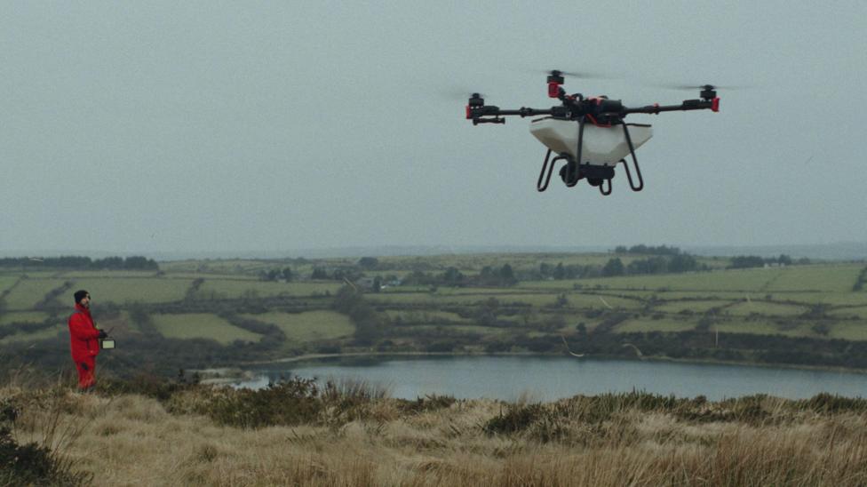 Drones used to sew 75,000 native trees in new planting project - BBC ...