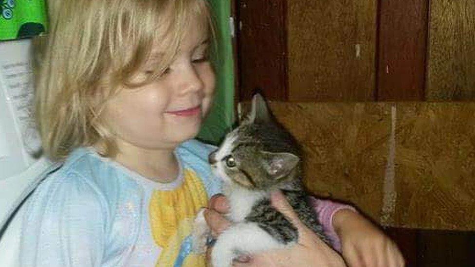 Fire crew rescues kitten trapped for 10 miles in engine - BBC News
