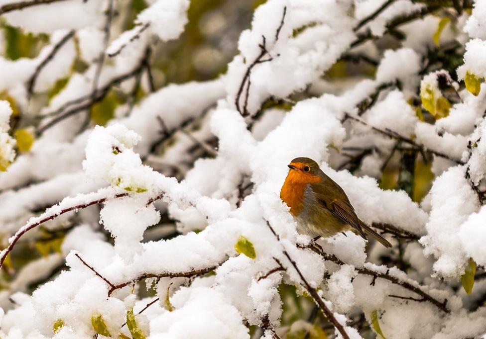 Your pictures of Scotland: 17-24 November - BBC News