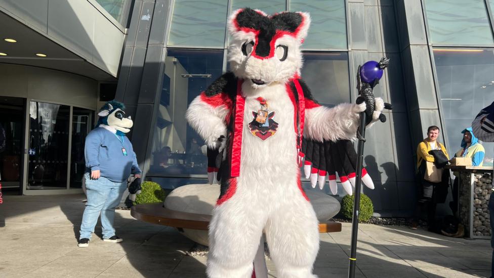 'Being a furry is like wearing a superhero cape' - BBC News
