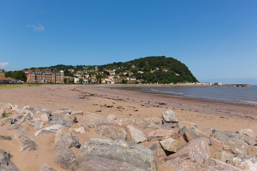 Somerset Council approves dog ban at Minehead beach - BBC News