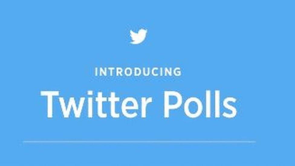 Twitter polling is being made available to everyone - BBC News