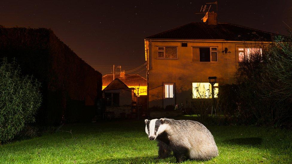 England's Big Picture: 7-13 December 2015 - BBC News