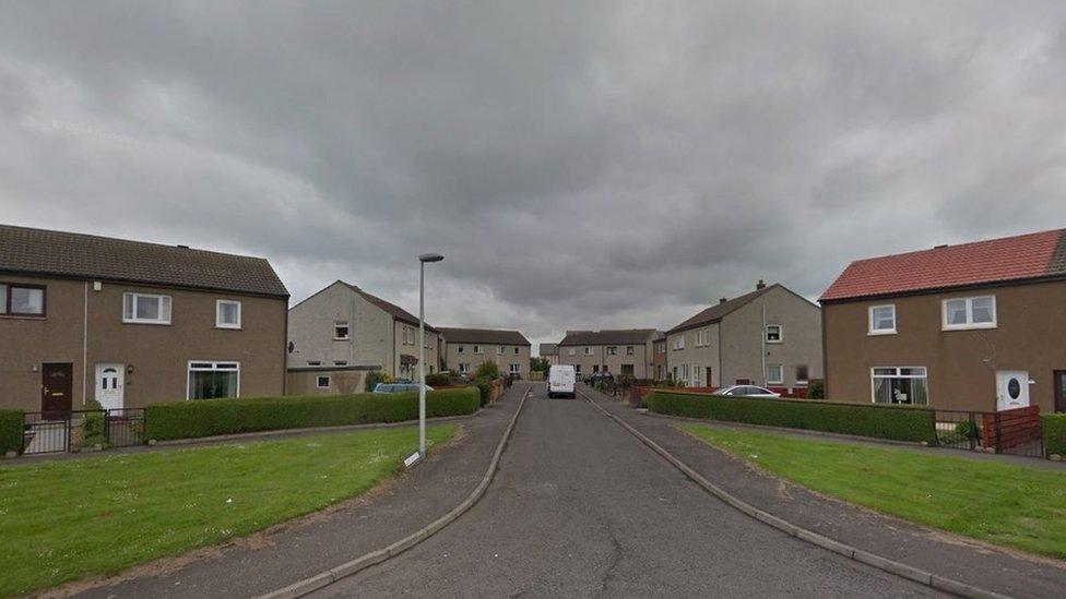 Dog and owner attacked by Staffordshire bull terrier in Musselburgh ...
