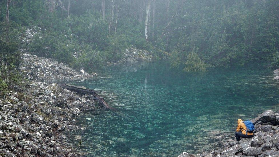 Disappearing Tarn: Tasmanian lake's return delights visitors - BBC News