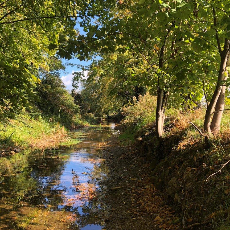 England's Big Picture: 10 October - 16 October 2022 - BBC News