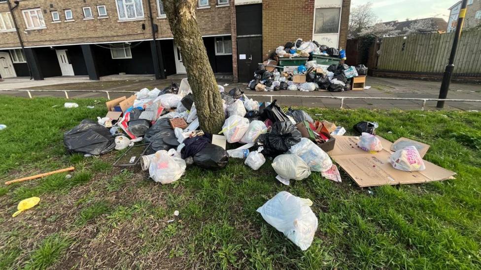 How Birmingham bin strike exposes the divide between rich and poor ...