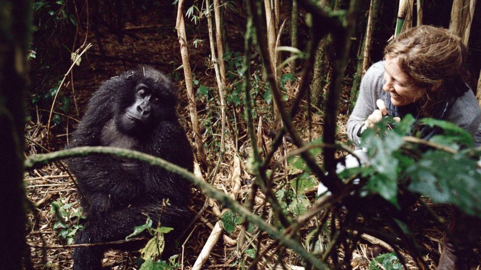 Sophy Roberts hosts talk at Sherborne Travel Writing Festival - BBC News