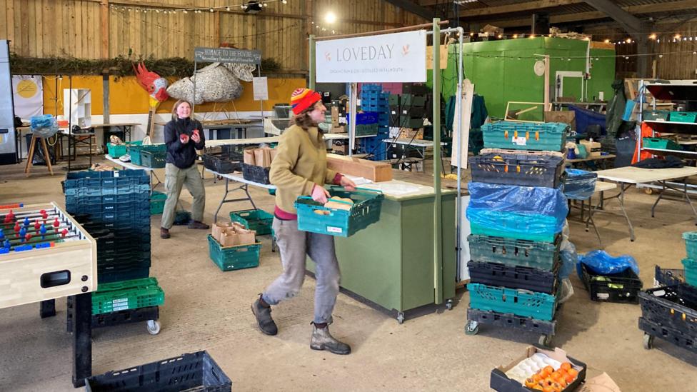 Cornish farm fighting back after Storm Goretti damage - BBC News