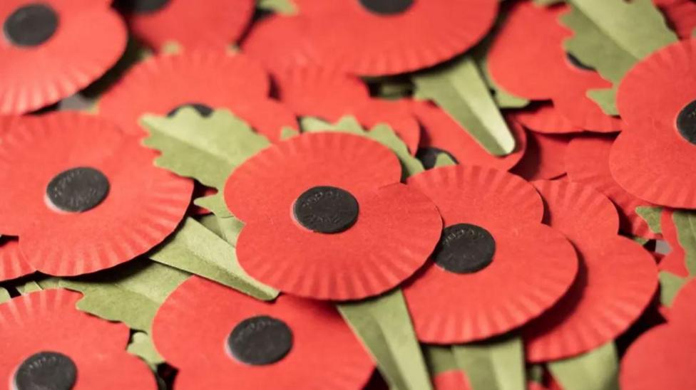 Remembrance poppies: Why do we see them everywhere? - BBC Newsround
