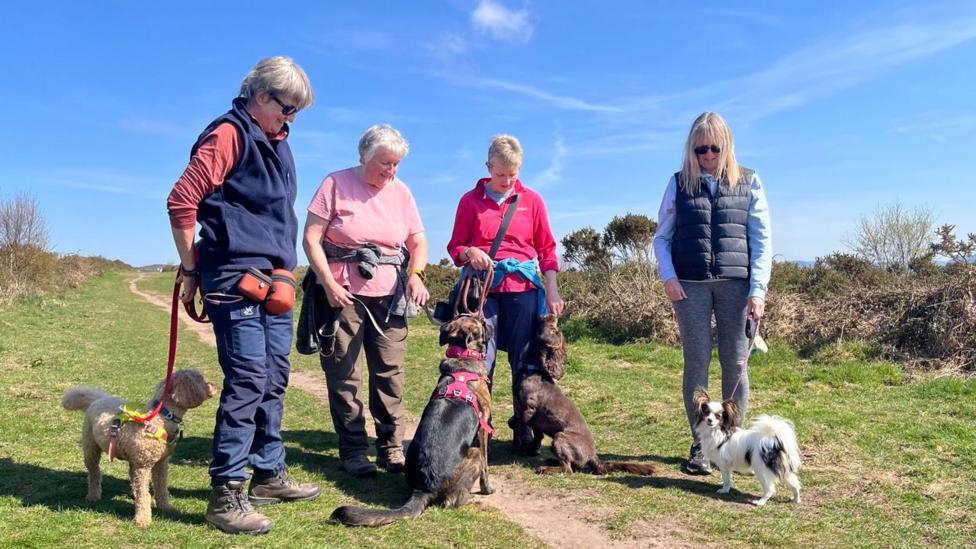 Dogs and owners work to help protect Devon countryside - BBC News