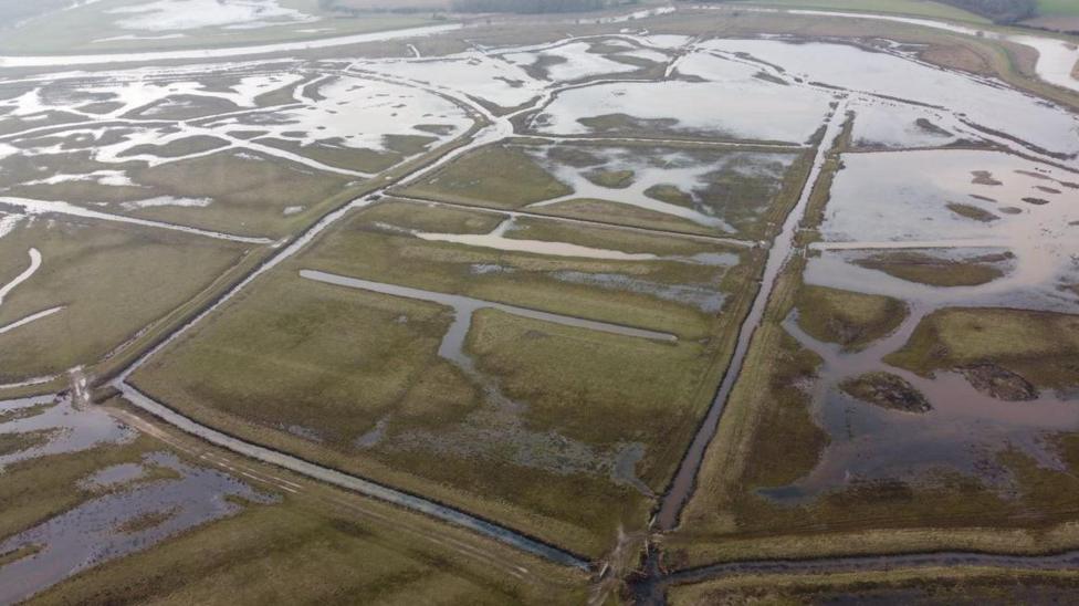 Tolworth Court Farm Fields: Restoration for Kingston's wetlands - BBC News